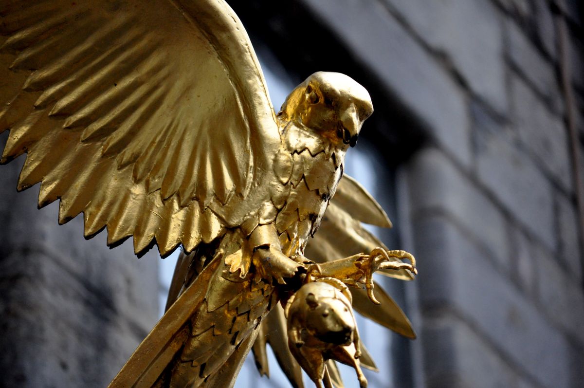 Golden Hawk - Goldgenie Official Blog