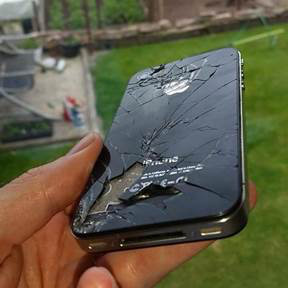 Pecked-to-death-phone - Goldgenie Official Blog